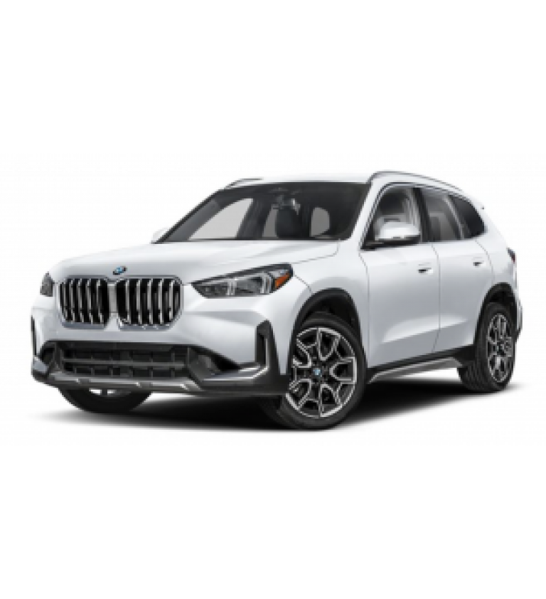 Auction 2025 BMW X1 SUV