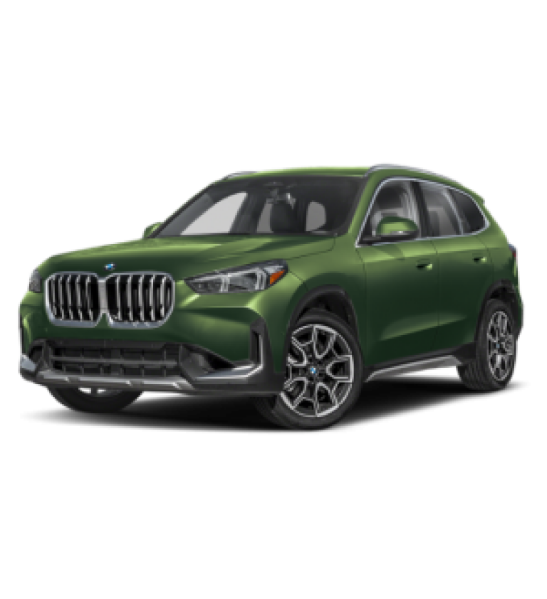 Auction 2025 BMW X1 SUV