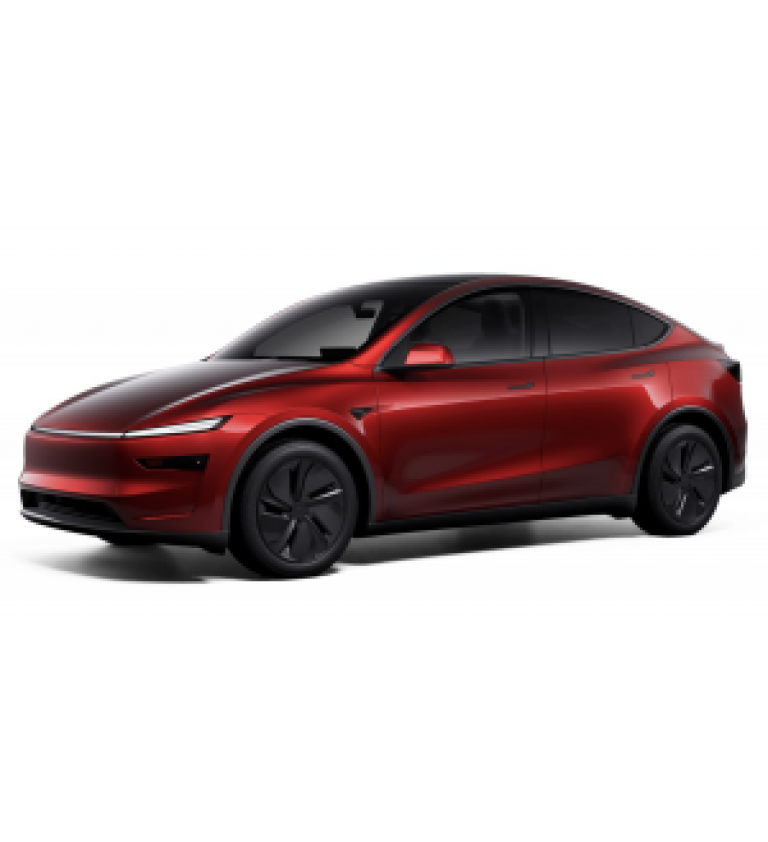 Auction 2025 New Tesla Model Y
