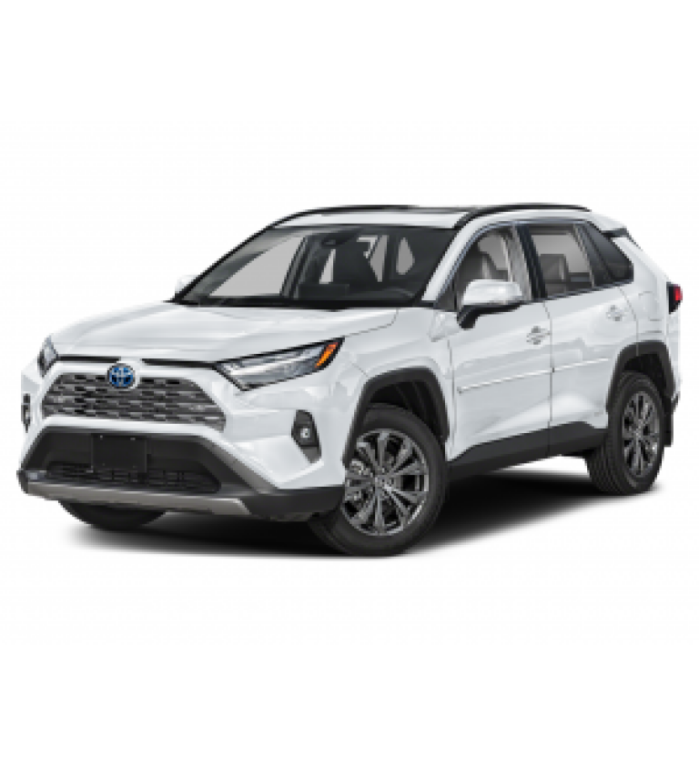 Auction 2025 Toyota RAV4 XLE