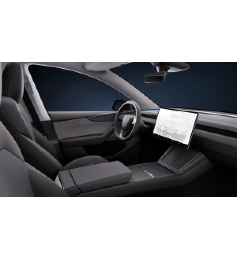 Auction 2025 New Tesla Model Y