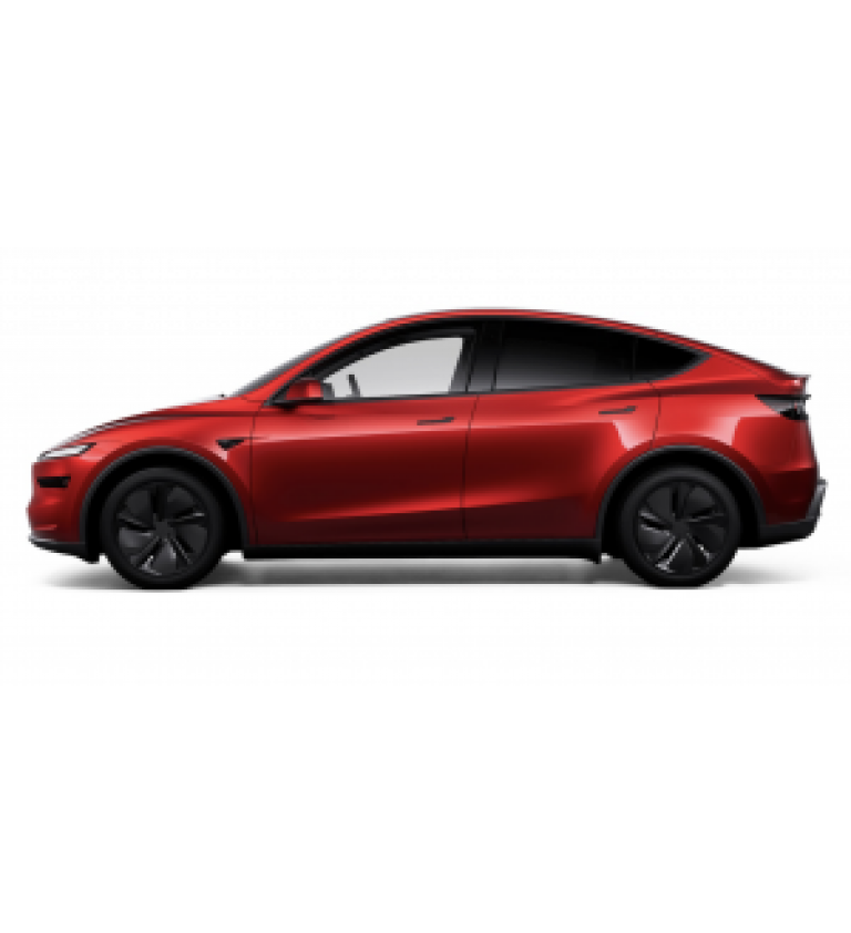 Auction 2025 New Tesla Model Y