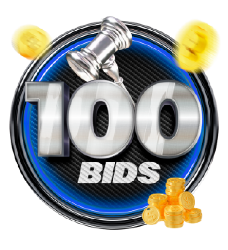 Auction Pack 100 Bids