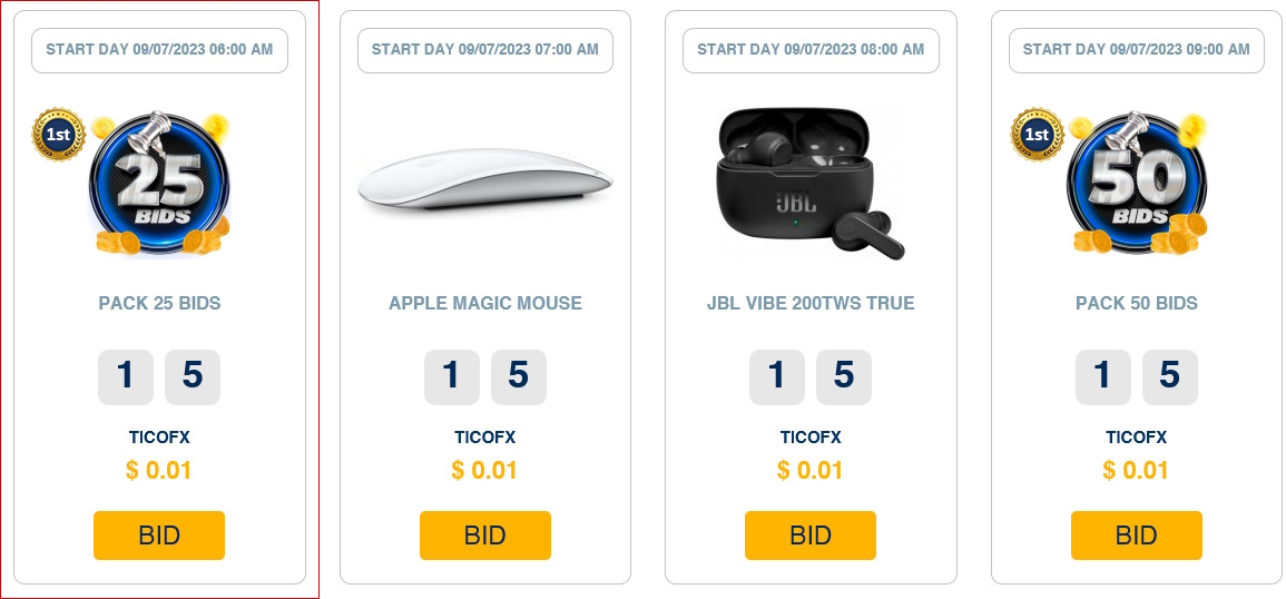 How it Works | My Bid24h