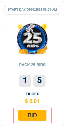How it Works | My Bid24h
