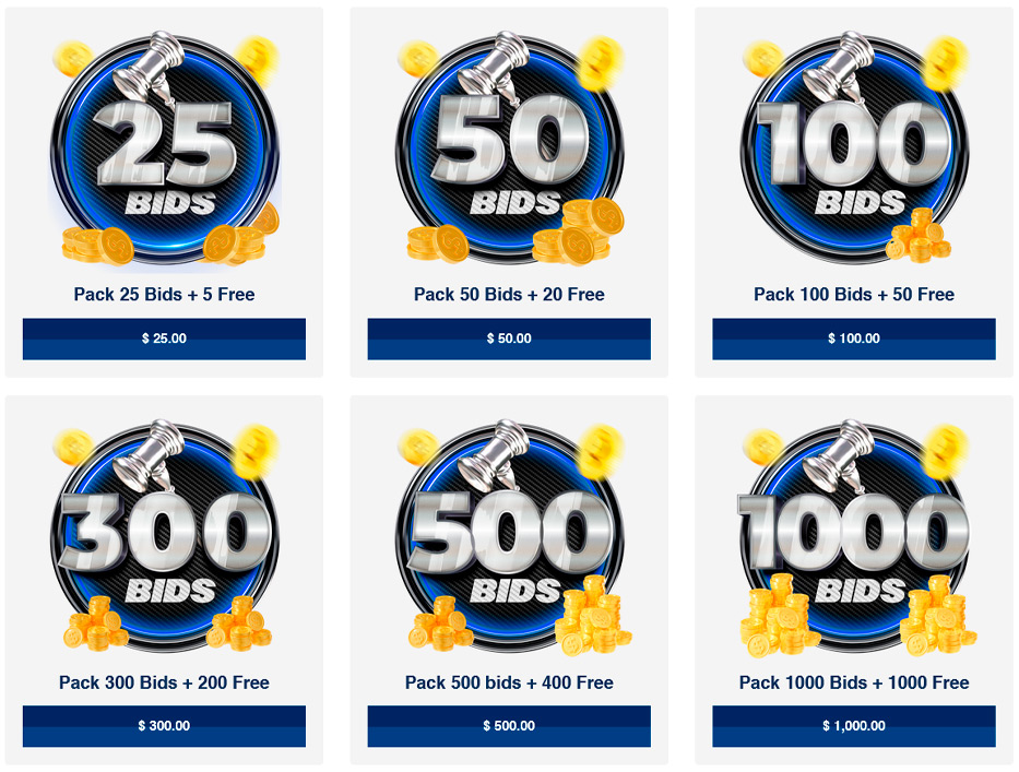 How it Works | My Bid24h